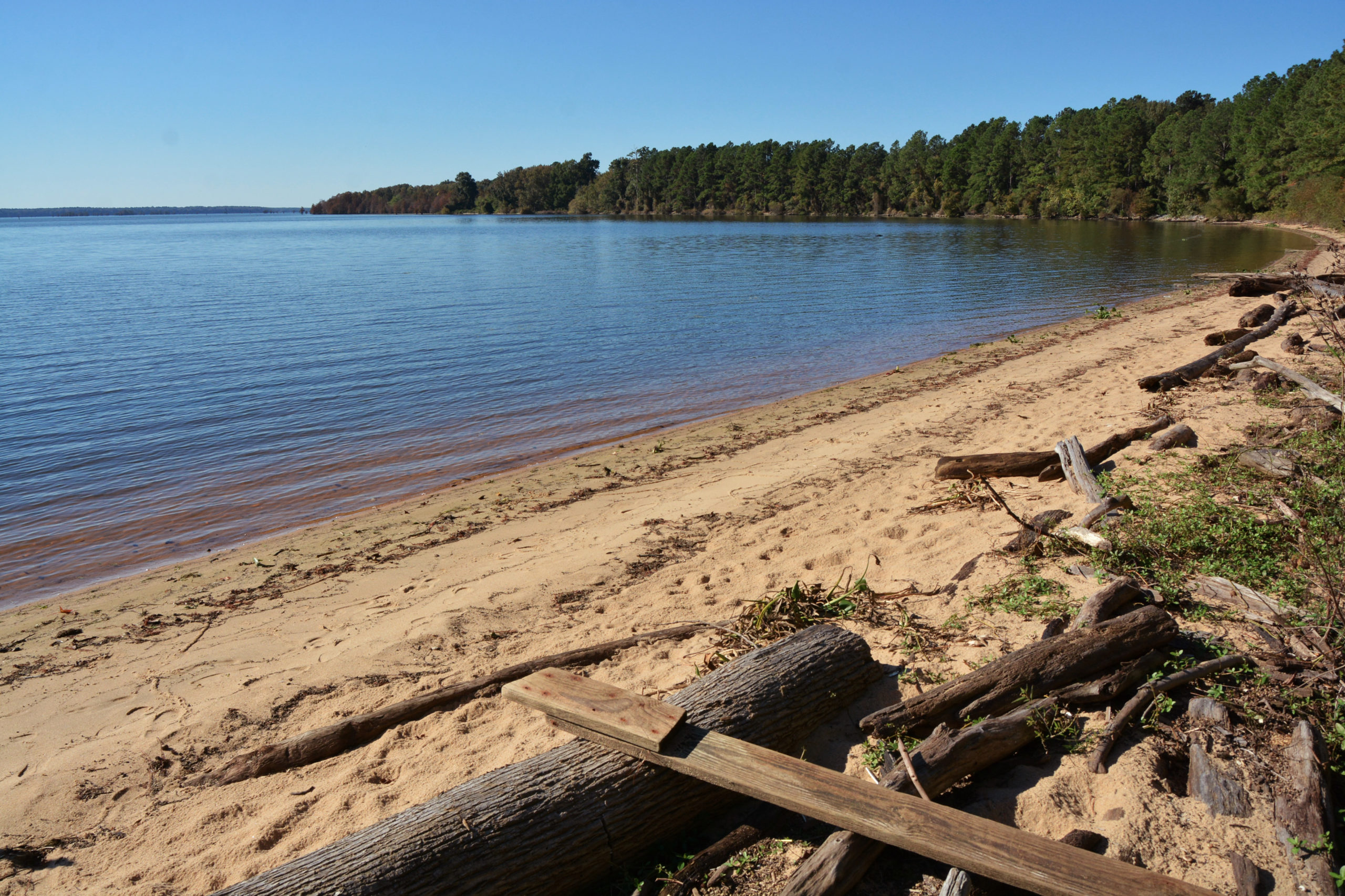 Clarendon County | Start Central SC