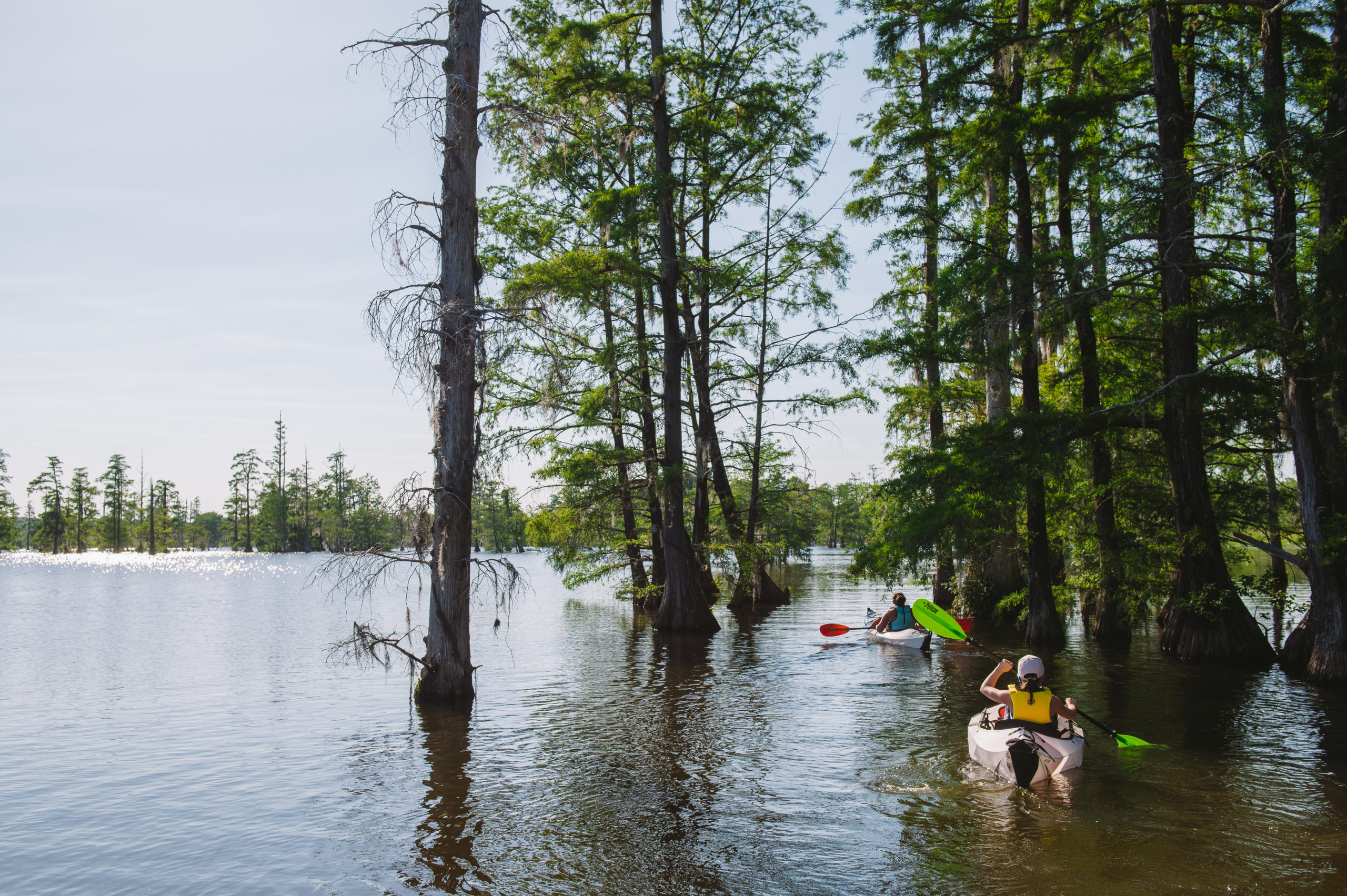 Calhoun County | Start Central SC